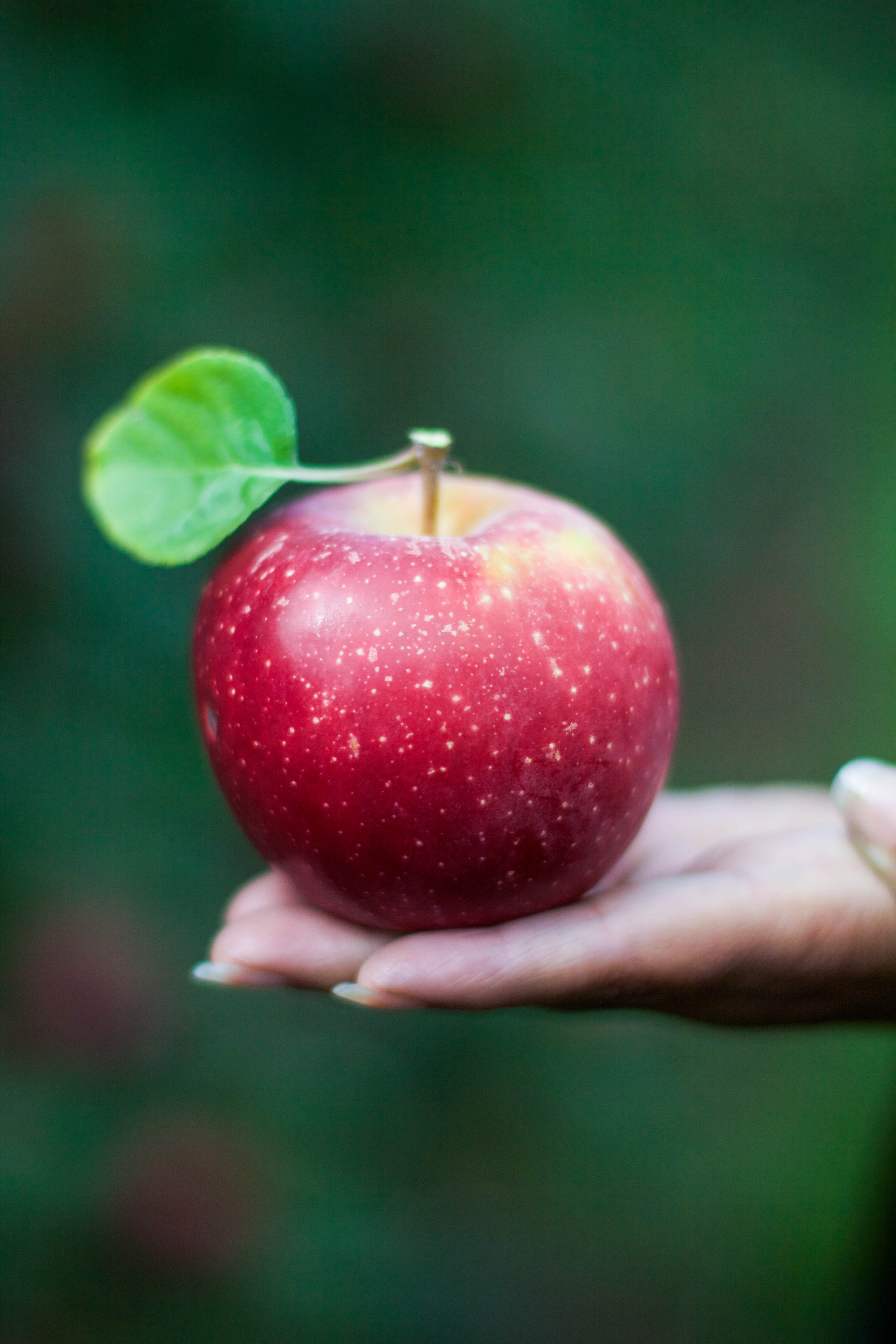 Le Tour de France des vergers d’Ariane : Cap sur le Sud-Ouest pour ...